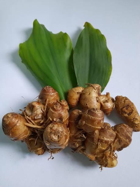 DRIED - Kencur, Aromatic Ginger (kaempferia Galanga) - Etsy