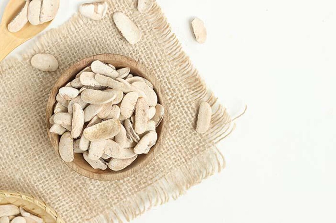 DRIED - Biji Mahoni (swietenia Mahagoni) - Etsy