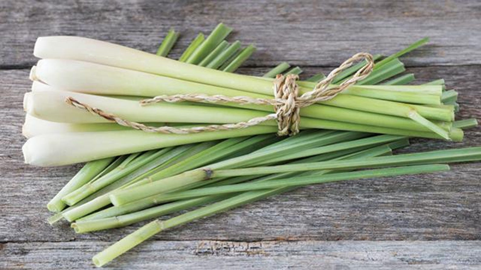 DRIED - Serai, Sereh, Lemongrass (cymbopogon Citratus) - Etsy