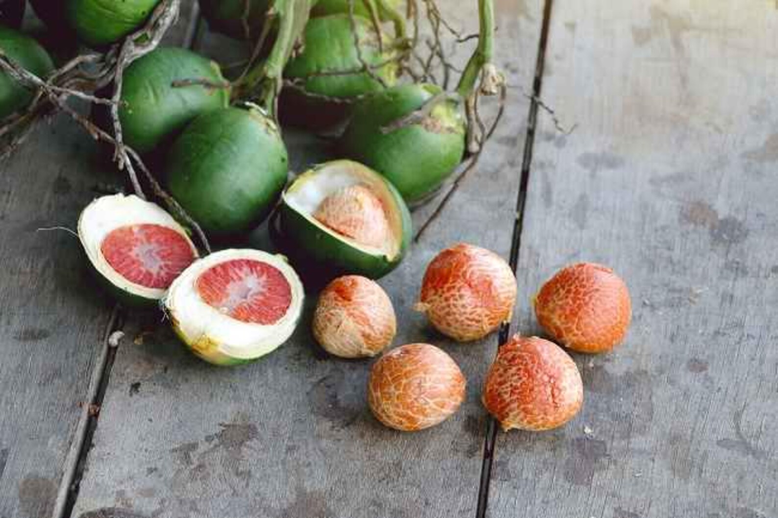 Buah Pinang, Betel Palm Fruit (areca Catechu) - Etsy