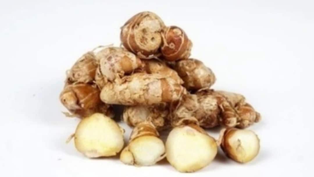 DRIED - Kencur, Aromatic Ginger (kaempferia Galanga) - Etsy