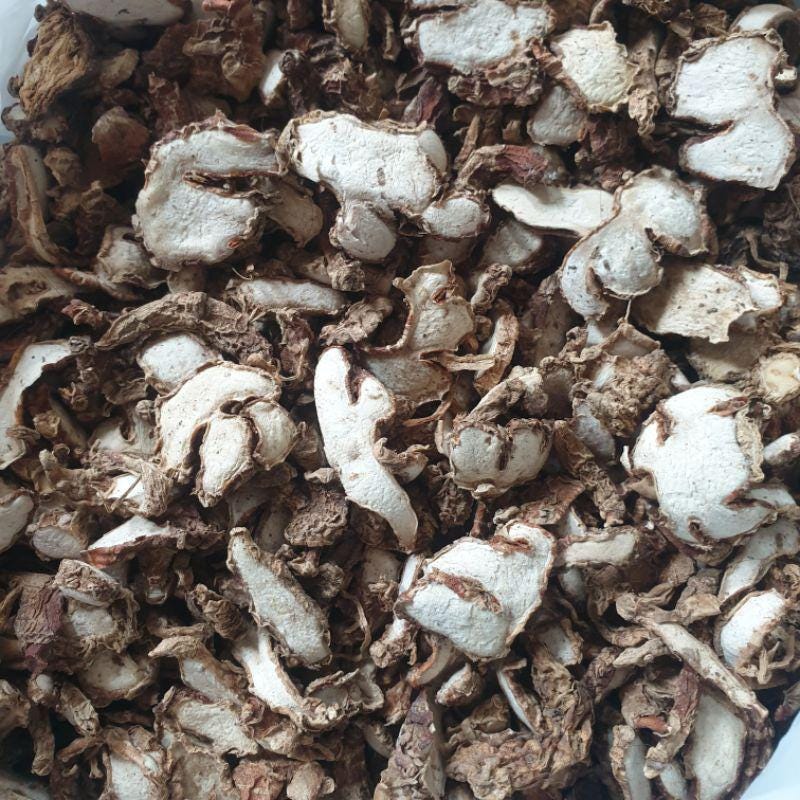 DRIED - Kencur, Aromatic Ginger (kaempferia Galanga) - Etsy