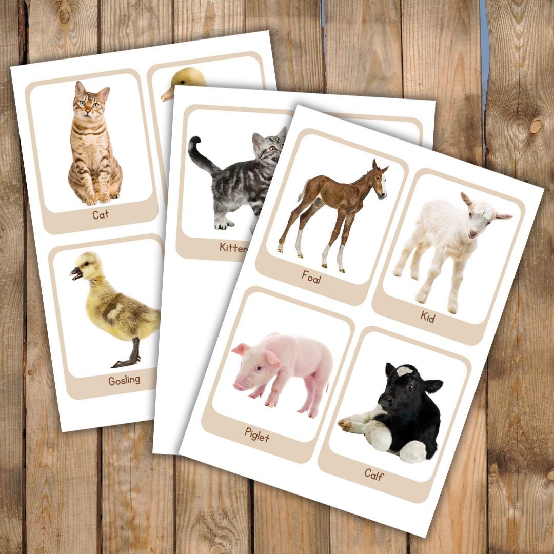 Farm Animals|montessori Cards|flash Cards|nomenclature Cards ...