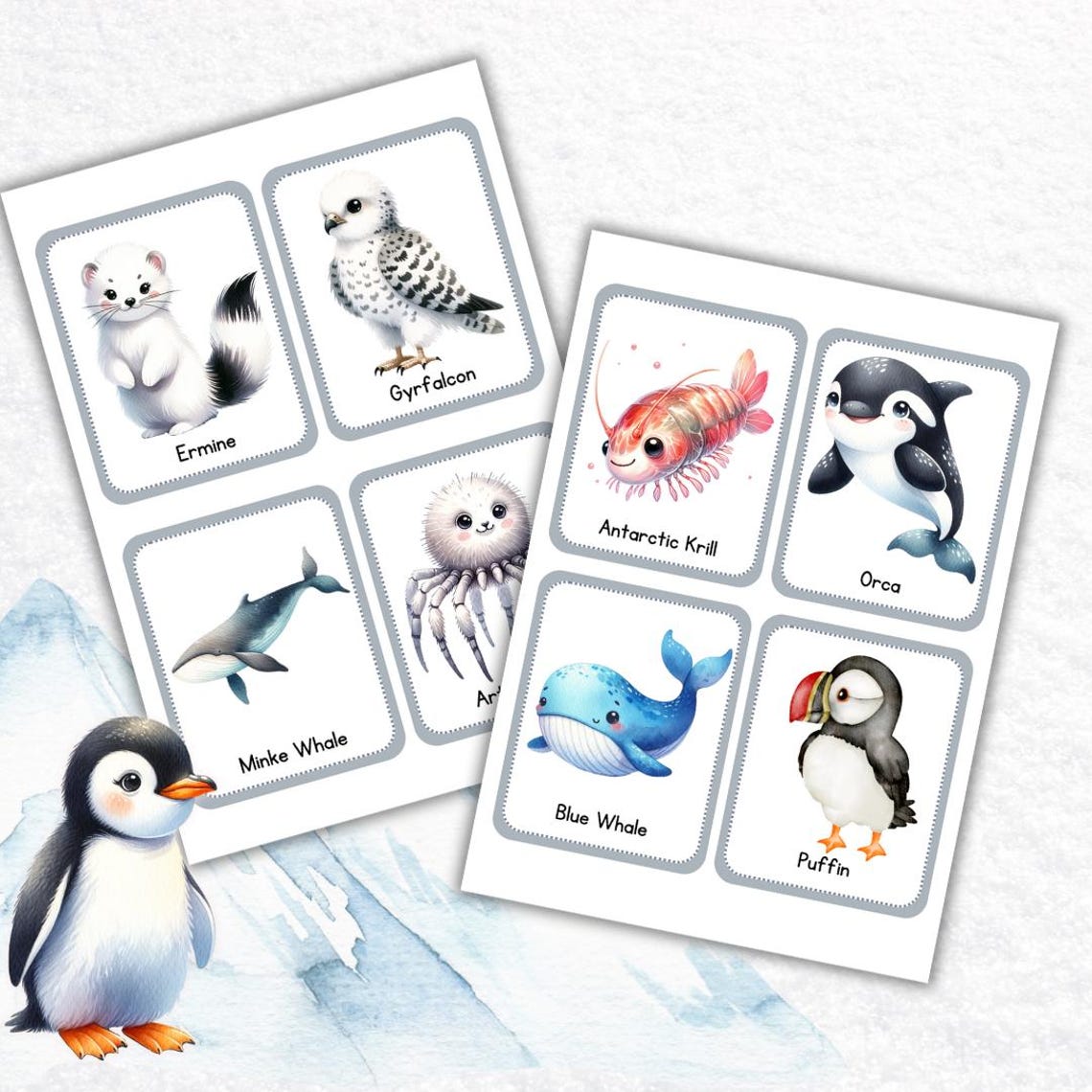 Polar Animals Flashcards| Montessori Cards|arctic Animals Card ...