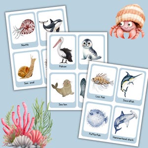 Sea Animals Flashcards| Montessori Cards|sea Animals Card|printable ...