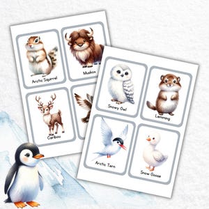 Polar Animals Flashcards| Montessori Cards|arctic Animals Card ...