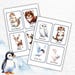 Polar Animals Flashcards| Montessori Cards|arctic Animals Card ...