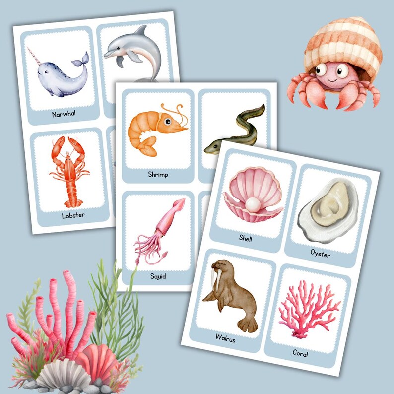 Sea Animals Flashcards| Montessori Cards|sea Animals Card|printable ...