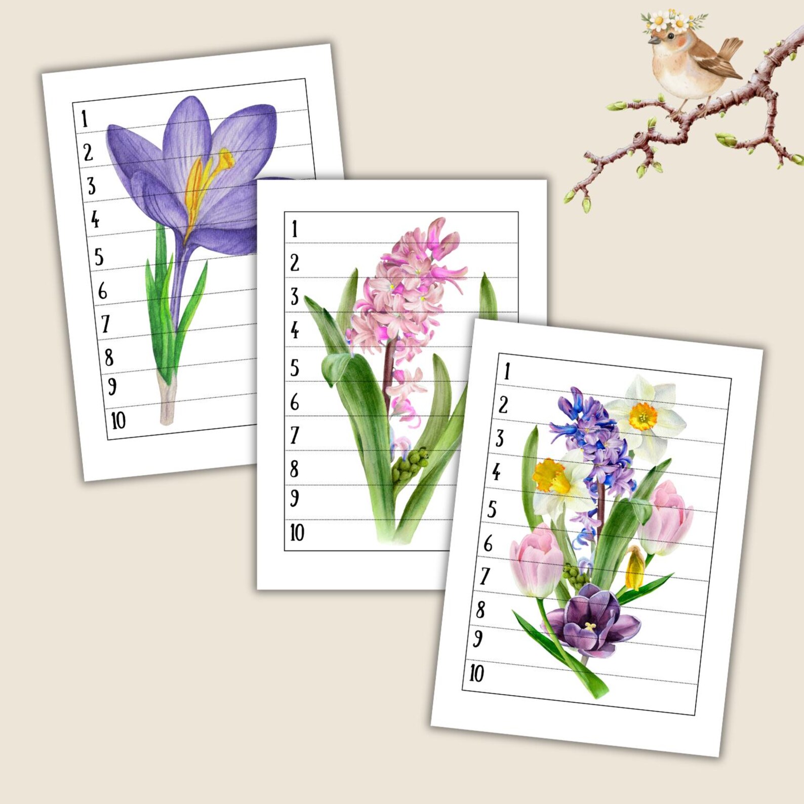 Spring Flowers Number Puzzle|numbers Sequence|preschool Counting ...