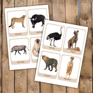 African Animals|montessori Cards|flash Cards|nomenclature Cards ...