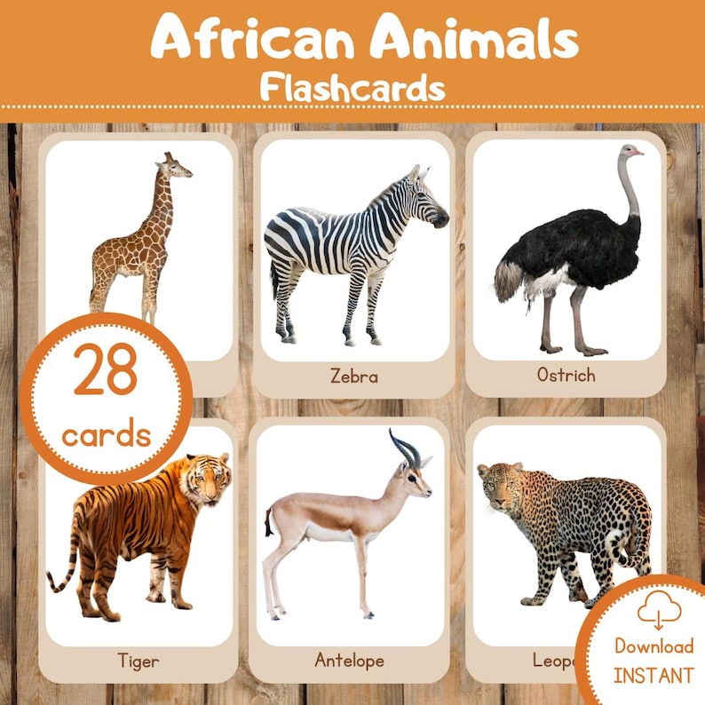 African Animals|montessori Cards|flash Cards|nomenclature Cards ...