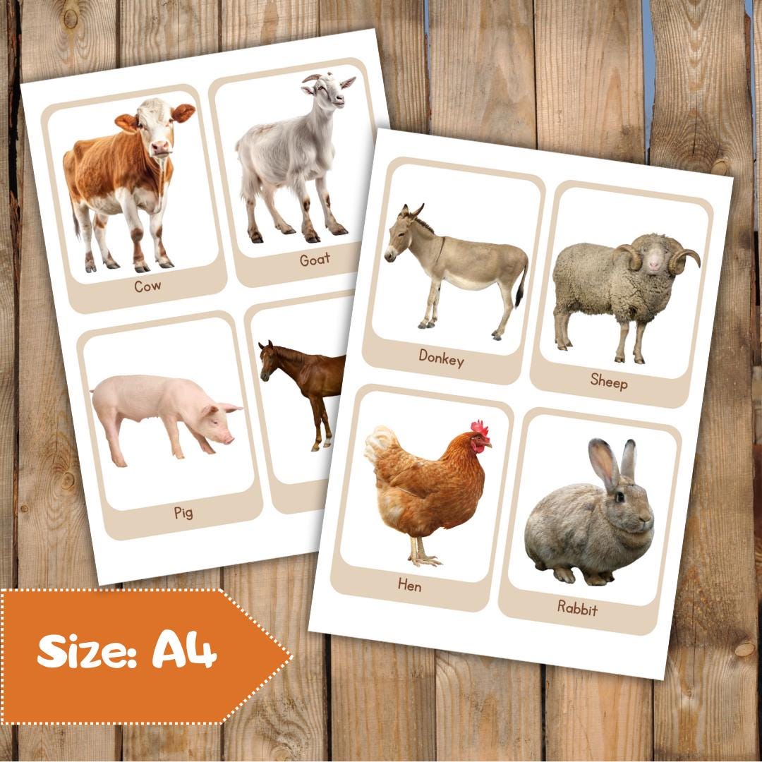 Farm Animals|montessori Cards|flash Cards|nomenclature Cards ...