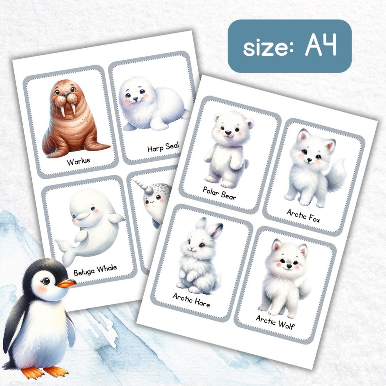 Polar Animals Flashcards Montessori Cardsarctic Animals Cardprintable ...