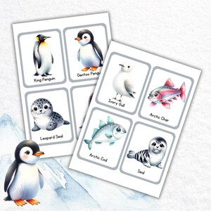Polar Animals Flashcards| Montessori Cards|arctic Animals Card ...