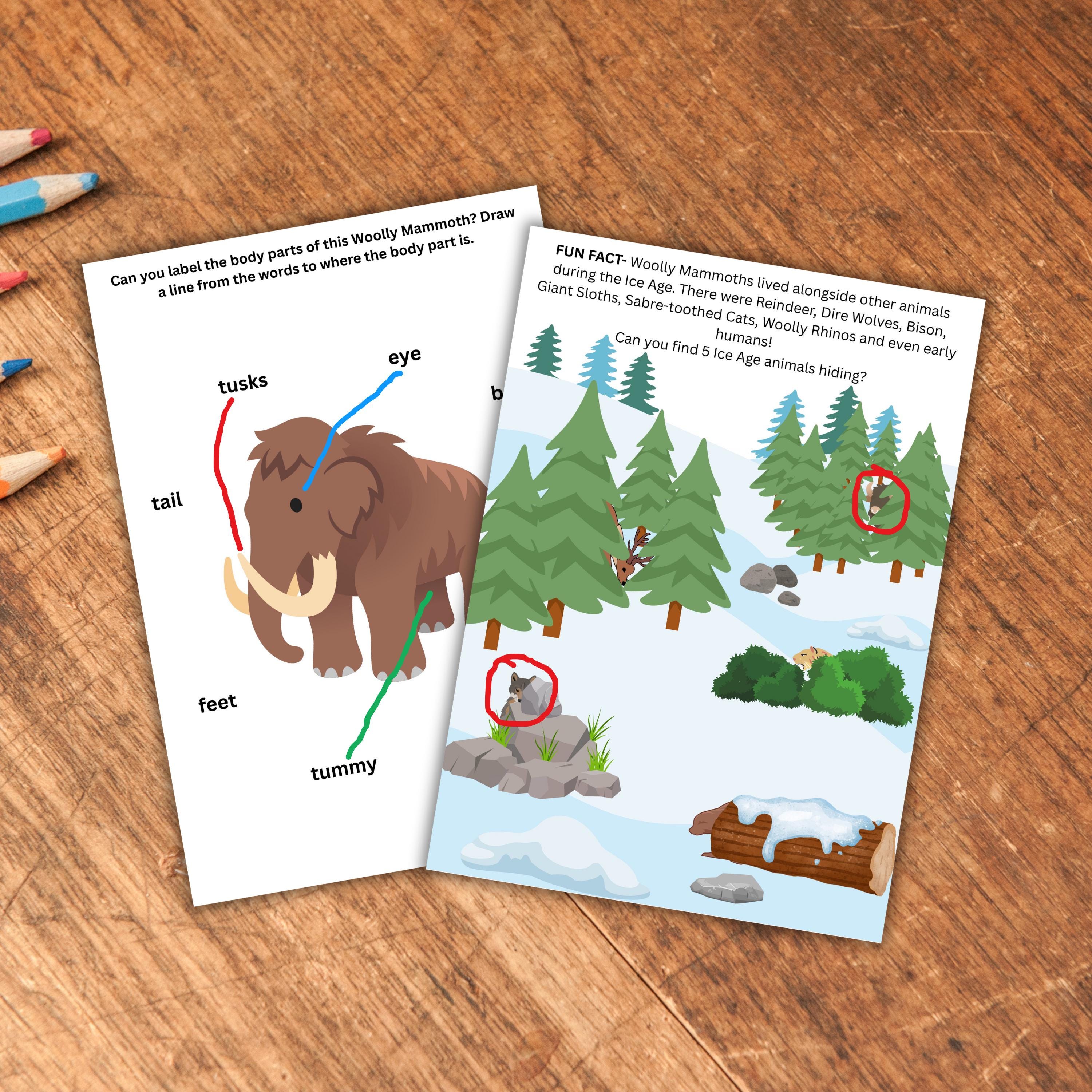 Woolly Mammoth Activity Pack – Printable Ice Age Worksheets for Kids ...