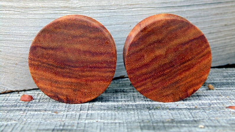 30mm Mystery Wood Tulip or Chechen, Hand Crafted Organic Beautiful ...