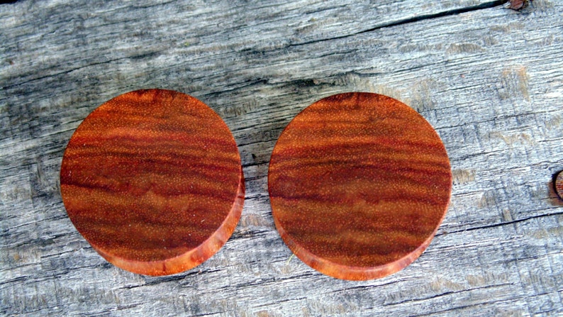 30mm Mystery Wood Tulip or Chechen, Hand Crafted Organic Beautiful ...