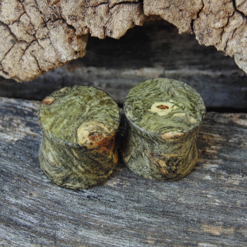 Half Inch Plug - Etsy