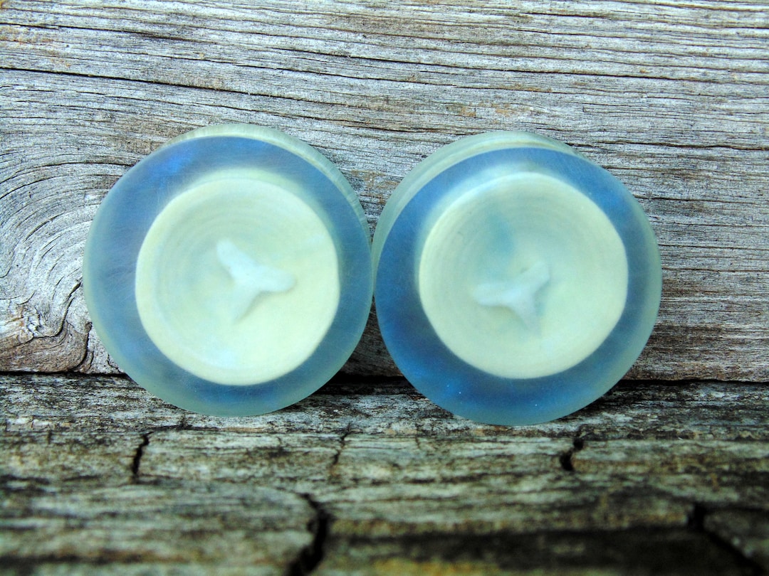 32mm Shark Tooth on Vertebrae Plugs. 1 1/4" Light Blue Dusted Acrylic ...