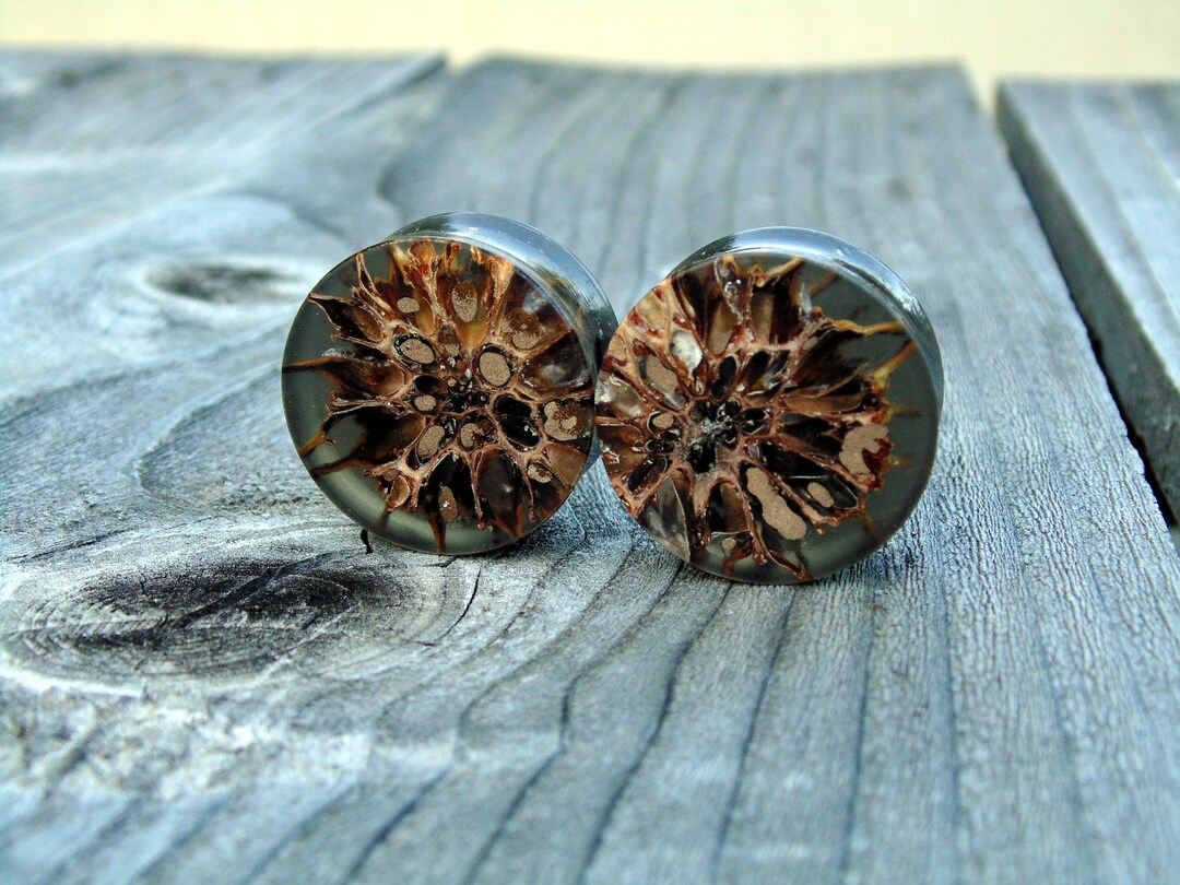 25mm Original 3D Cast Sweet Gum Pod Plugs. Brass Inlay on Pod Center ...