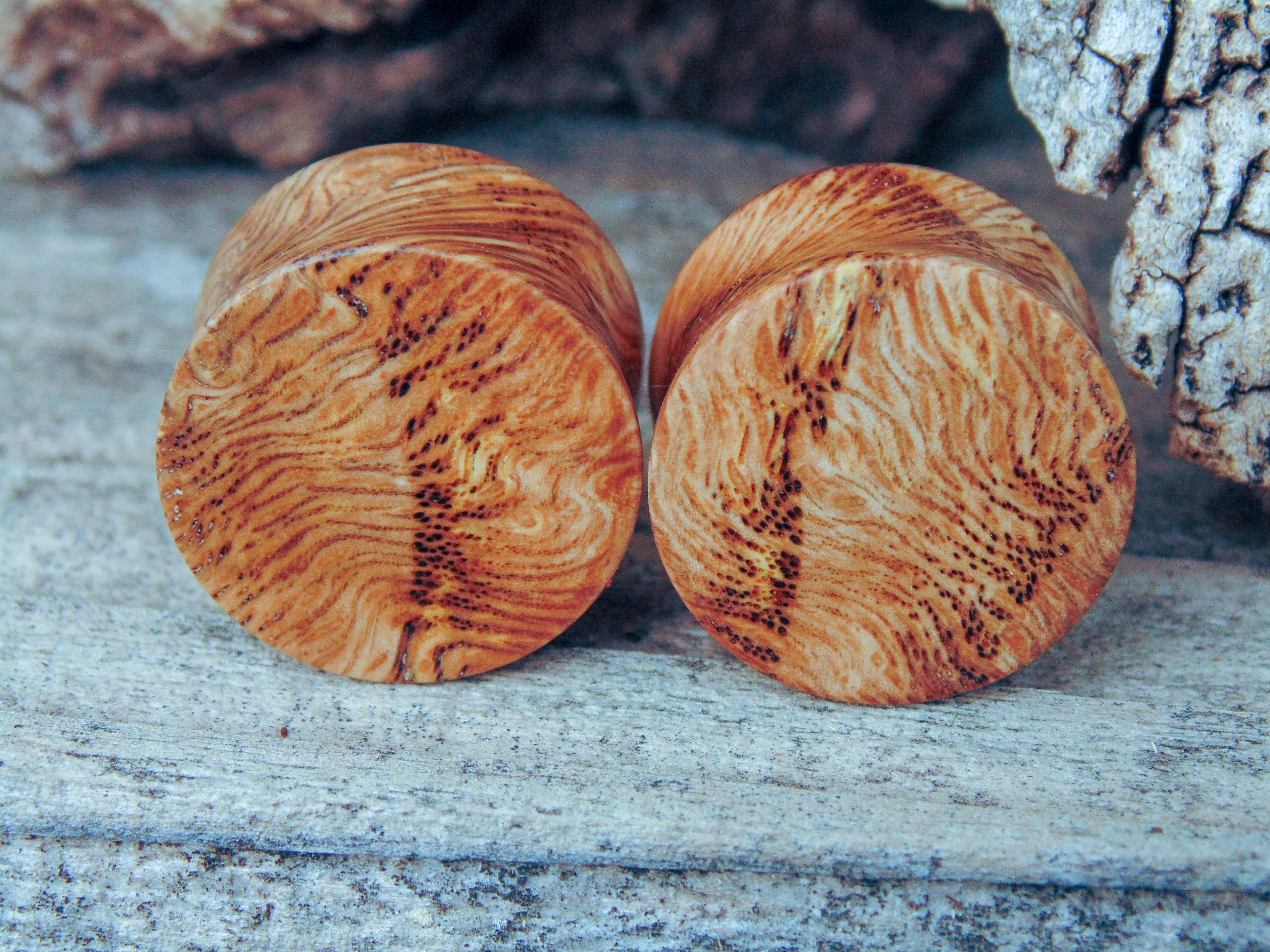 Spaghetti Oak Burl - Etsy