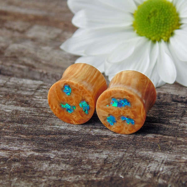 Opal Plugs - Etsy