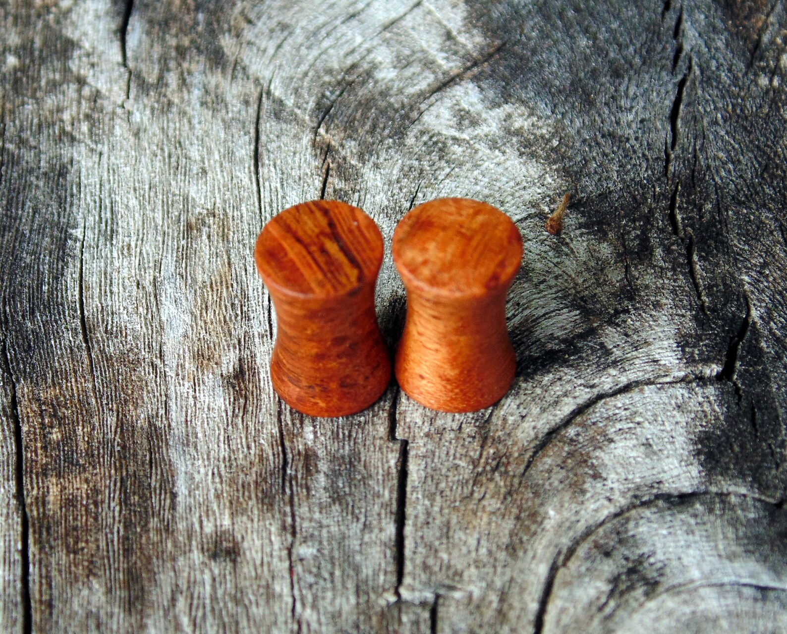 6.25mm Black Cherry Burl Wood Ear Plugs Hand Turned 2 Gauge - Etsy