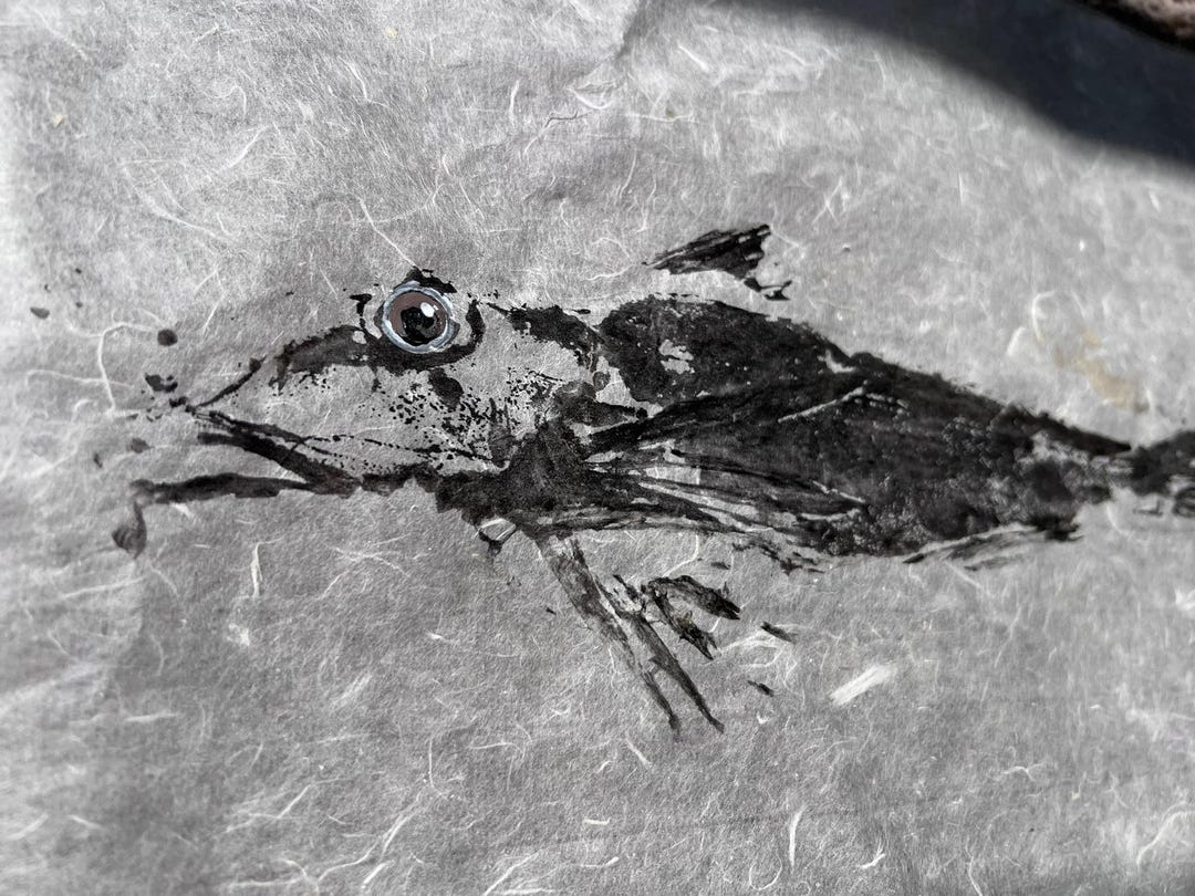 Gyotaku Fish Print: Japanese Sumi Ink Rubbing, Authentic Nautical Art - Etsy