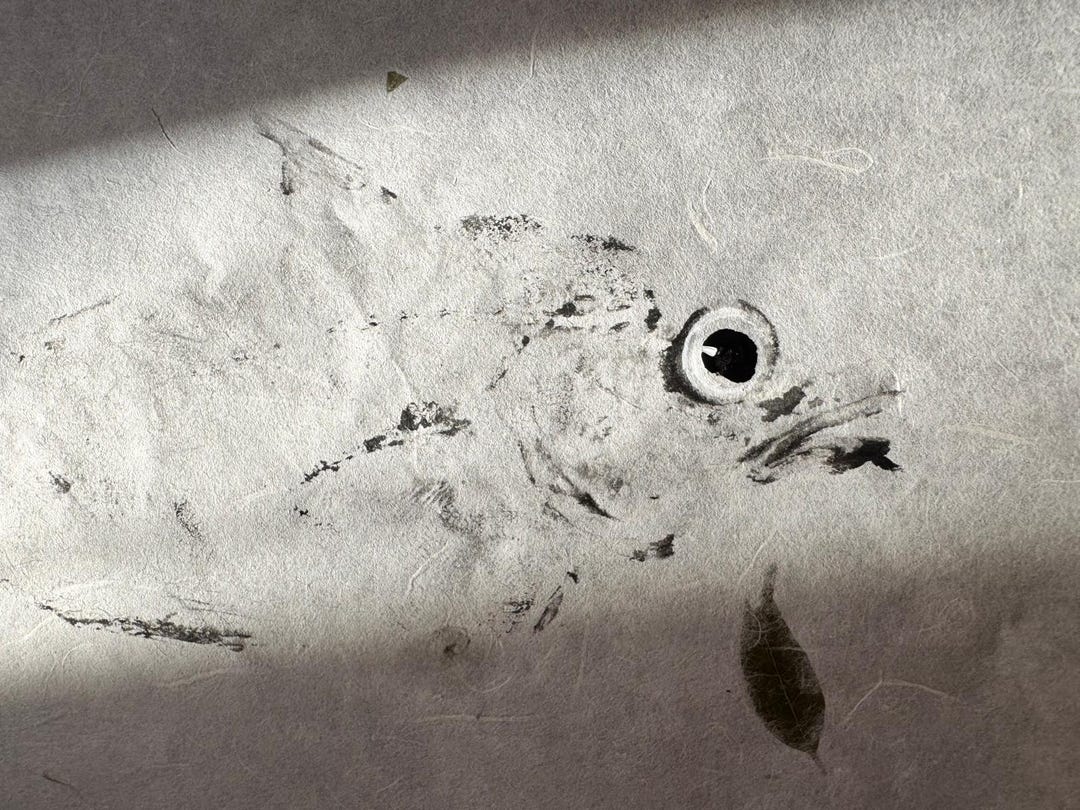Gyotaku Fish Print – Pouting (trisopterus Luscus), Handcrafted Nature ...