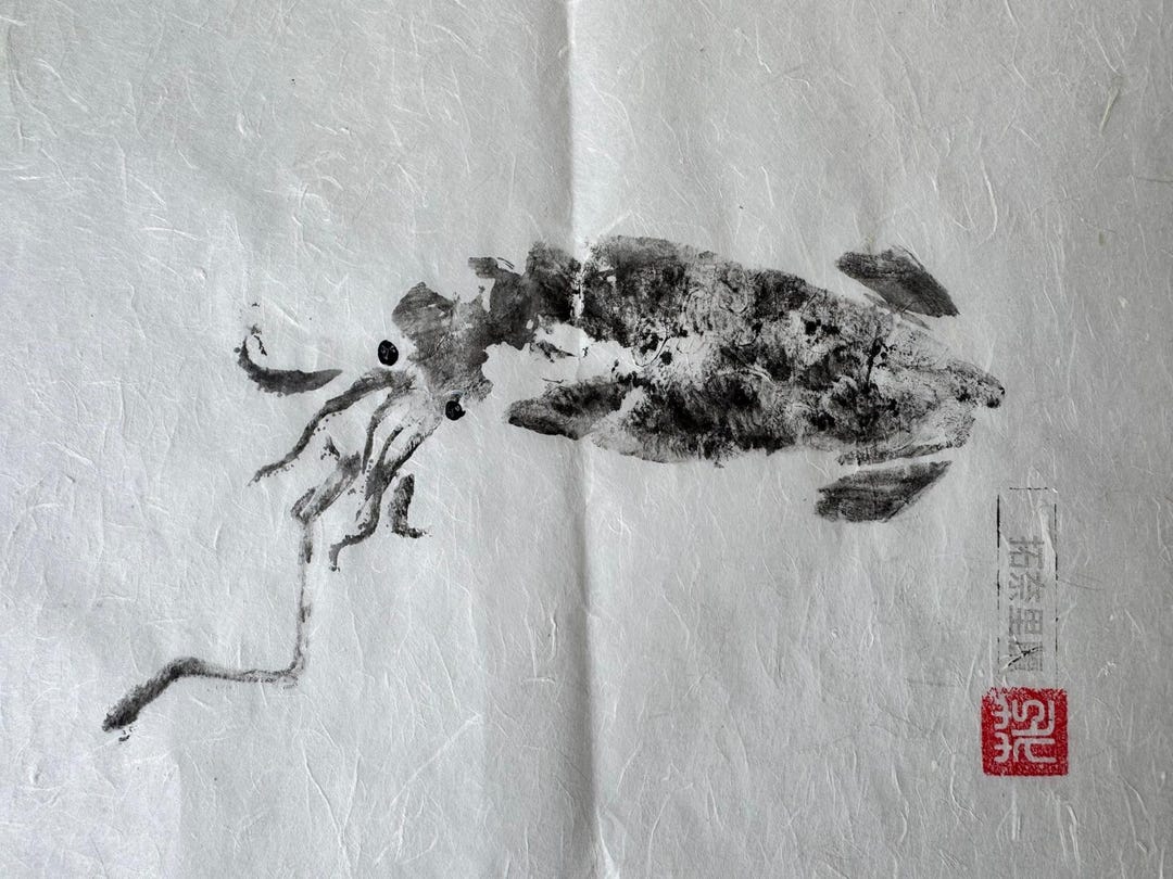 Gyotaku Squid Print: Traditional Japanese Art on Rice Paper - Etsy