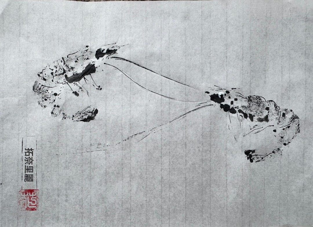Gyotaku Shrimp Print: Japanese Sumi Ink Fish Printing Art - Etsy