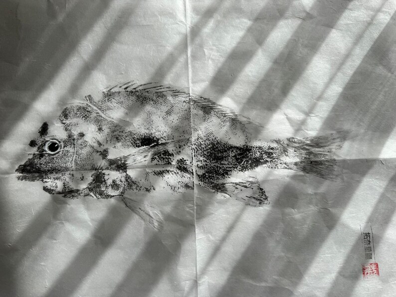Pargo Mulato Gyotaku Print – Traditional Japanese Fish Art, Coastal Wall Decor, Nautical Gift - Etsy