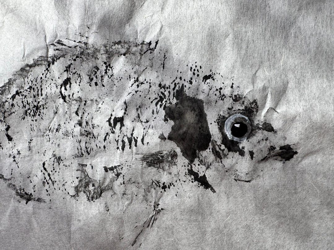 Gyotaku Fish Print – White Seabream / Striped Sea Bream, Japanese Art ...