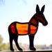 Stained Glass Donkey Suncatcher: Handmade Farm Animal Ornament - Etsy
