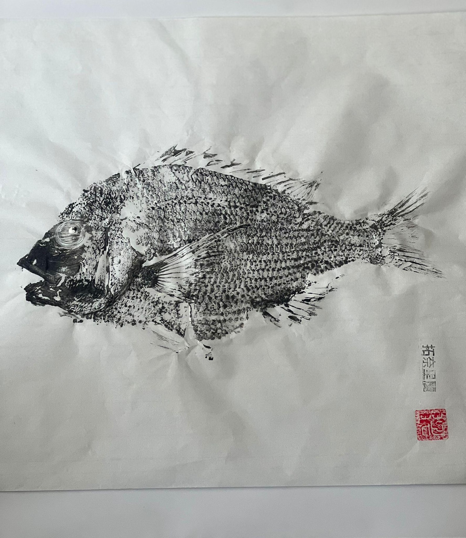 Gyotaku Lane Snapper Fish Print: Handcrafted Coastal Art - Etsy