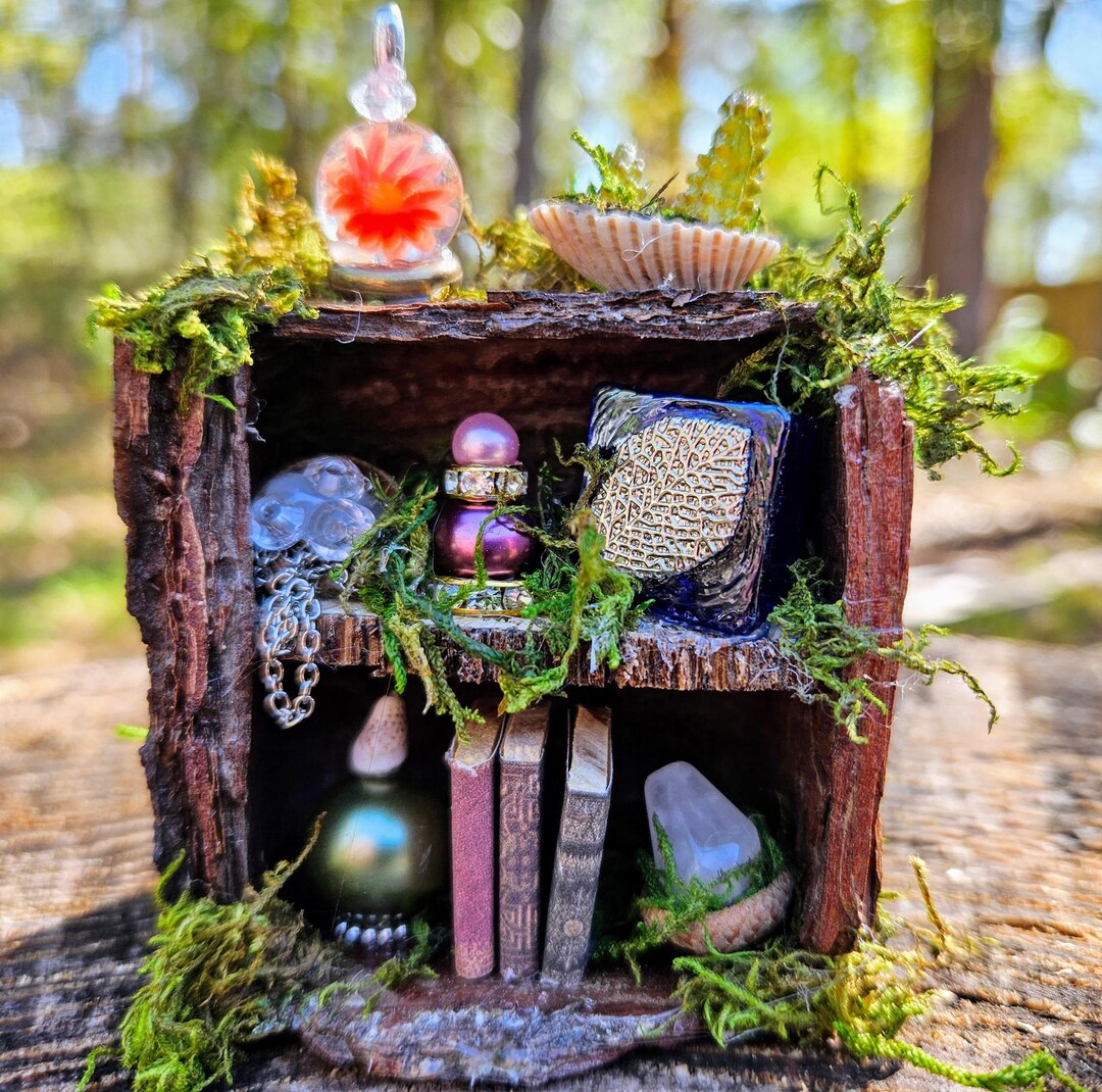 Fairy Bookshelf, Fairy Potion Shelf, Fairy Garden, Fairy Furniture ...