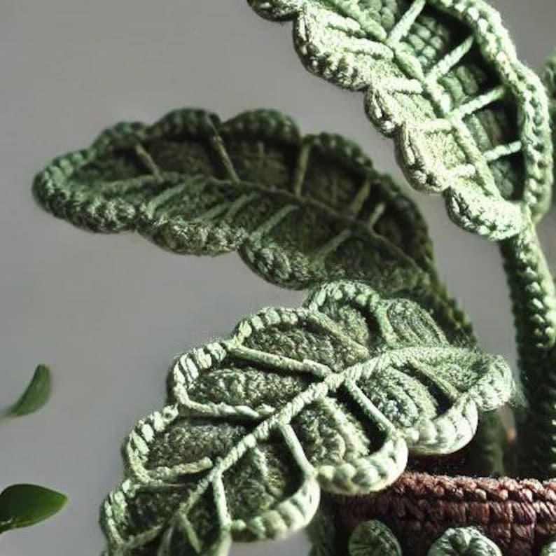 Crochet Plant Pattern for Beginners - Etsy