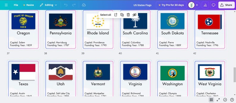 EDITABLE, PRINTABLE United States of America States Flashcards (with ...