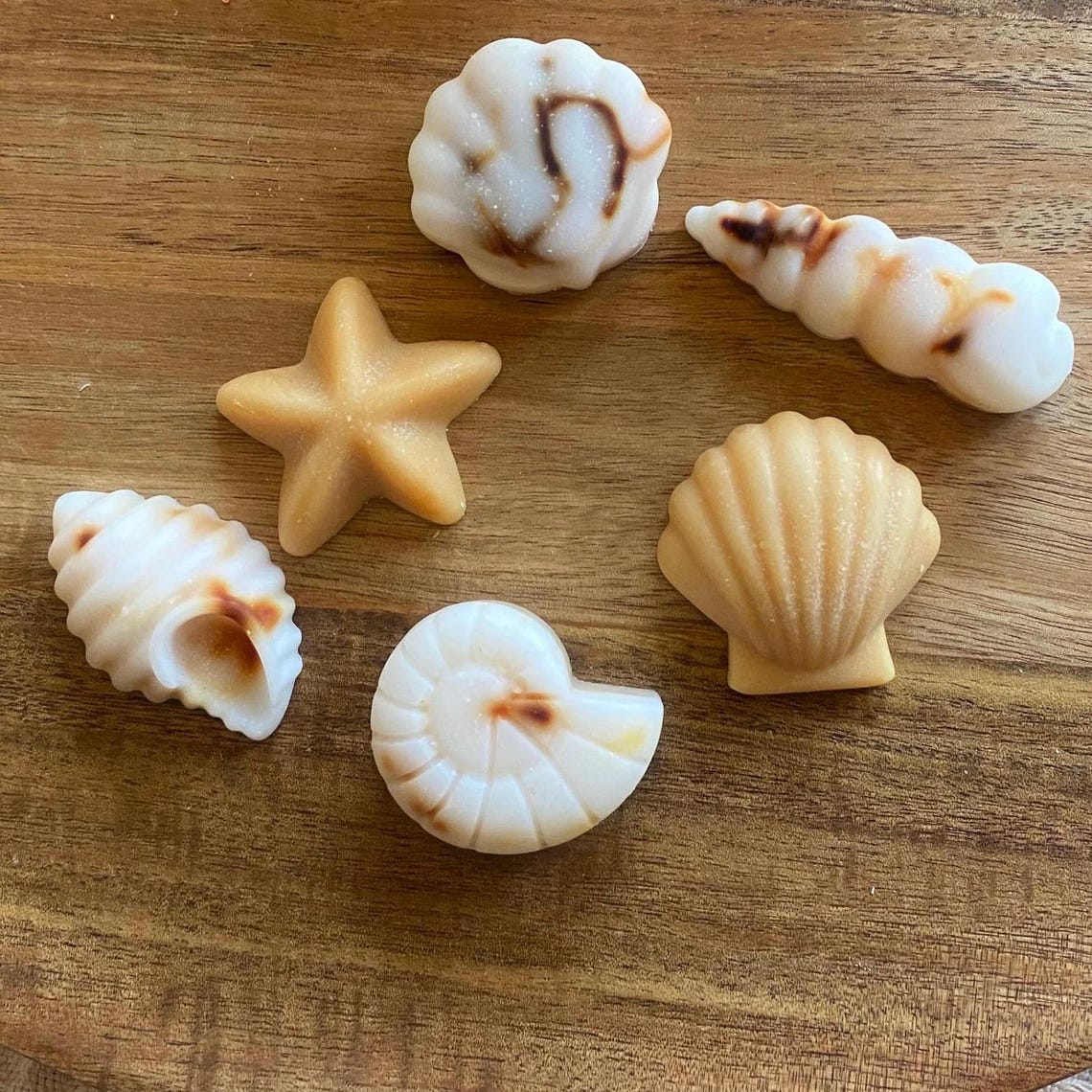 BY THE SEASHORE Wax Melts for Wax Melt Warmer, Para Soy Blend Wax, Cute ...