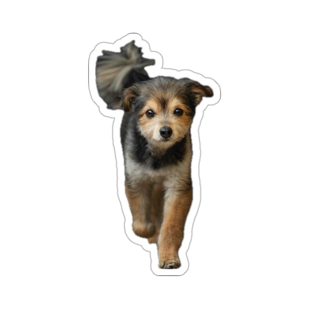 Ziggy Walking Stickers - Etsy