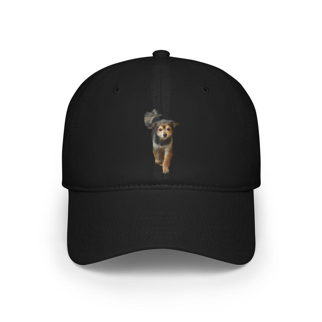 Ziggy Low Profile Baseball Cap - Etsy