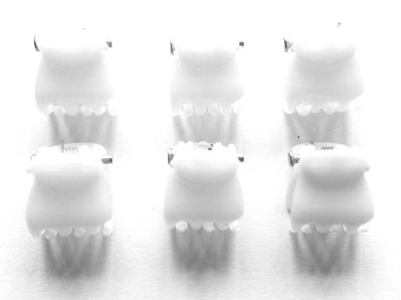 30 Pcs Transparent Clear White Mini Hair Snap Claw Clips for - Etsy