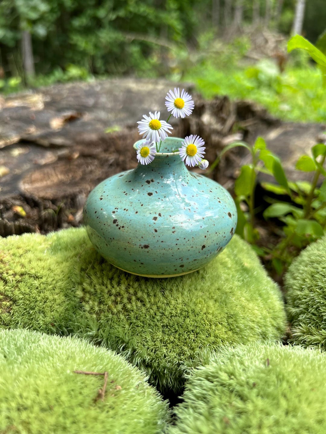 Mini Vase/mommy Pot - Etsy