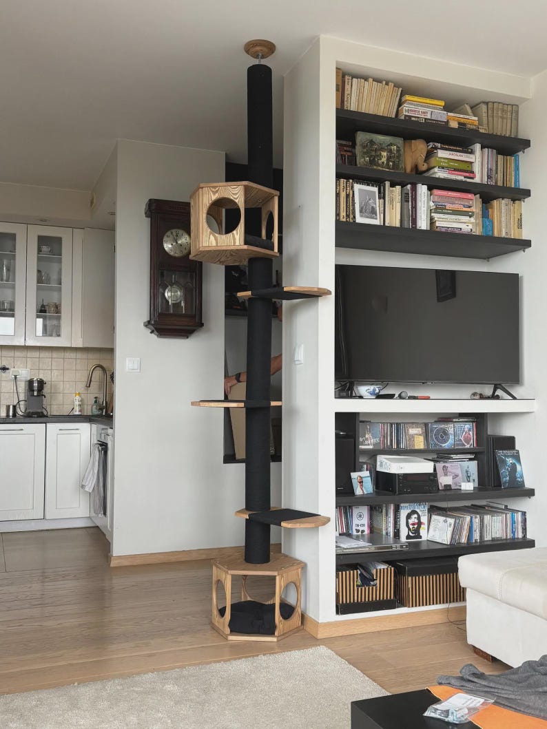 Adjustable Height Cat Tree With Cat Houses and Cat Cushions. Modern ...
