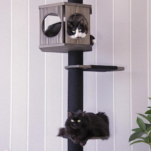 Adjustable Height Cat Tree With Cat Houses and Cat Cushions. Modern ...
