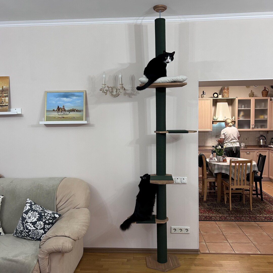 Green Tall Cat Tree Tower With Cat Wooden Shelves & Cozy Cat Bed With ...