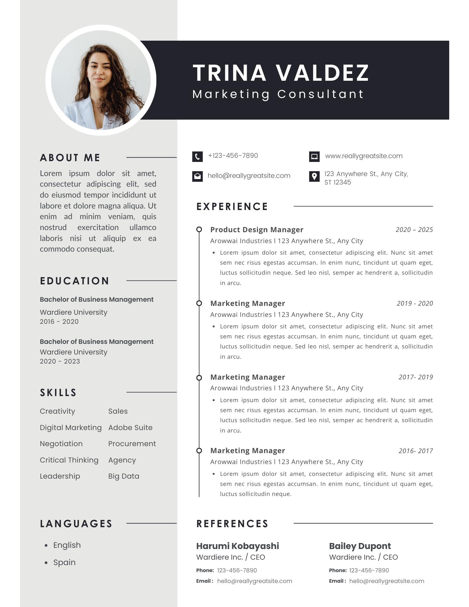 Minimalist Resume Template | Editable CV Design | Professional and ...