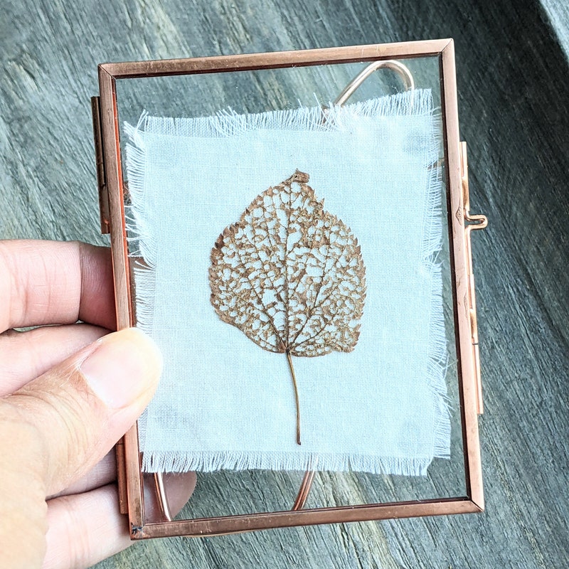 Skeleton Leaf Art - Etsy