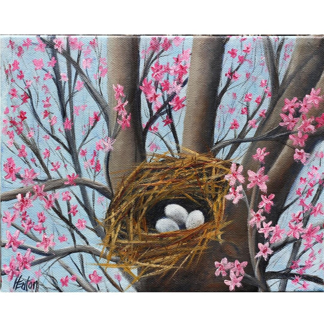 Cherry Blossom Bird Nest Oil Painting: Spring Hope Art (8x10) - Etsy