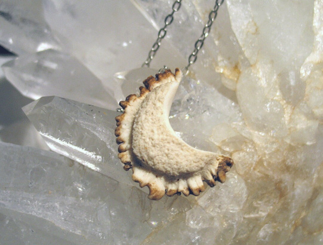 Crescent Moon Deer Antler Burr Jewelry Pendant - Etsy